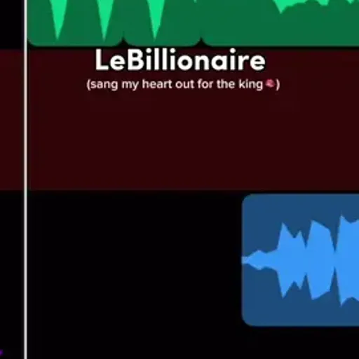 LeBillionaire